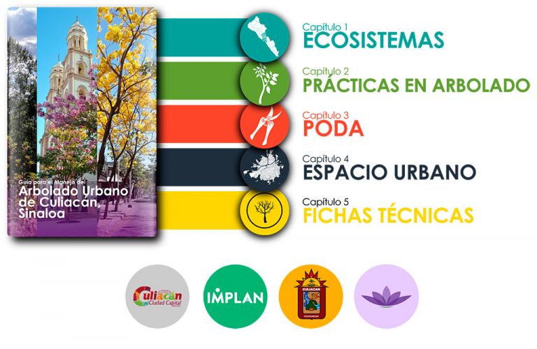 Guía para el Manejo del Arbolado Urbano de Culiacán – IMPLAN Culiacán